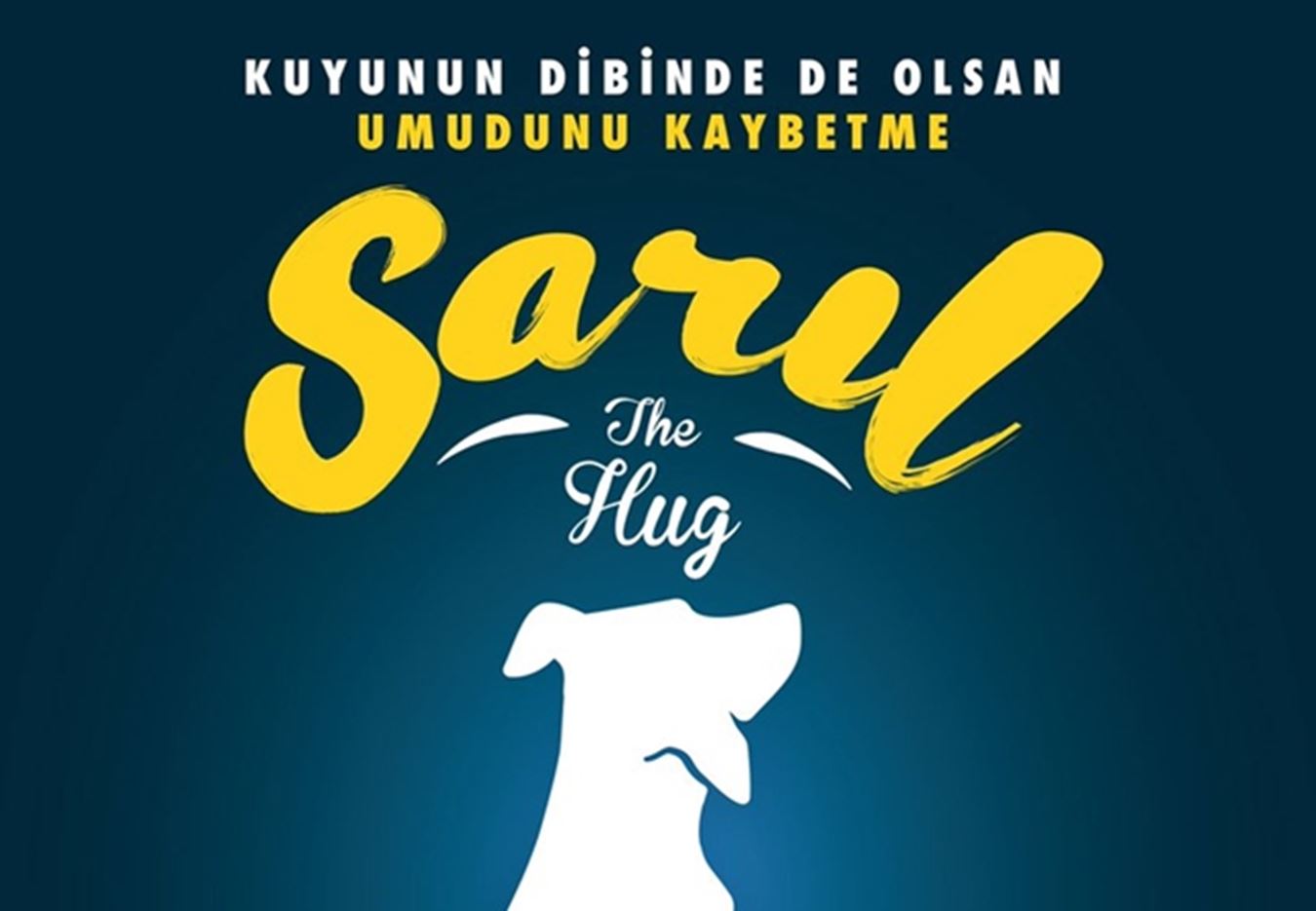 Ayla'nın senaristi Yiğit Güralp, yeni filmi Sarıl'da Kuyu köpeğin ...